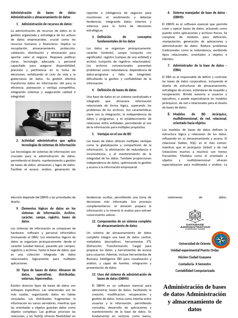 Triptico 2025 | PDF | Bases de datos | Datos