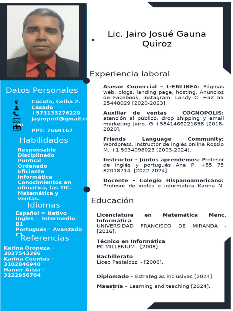 Modelo de CV Profesional | PDF
