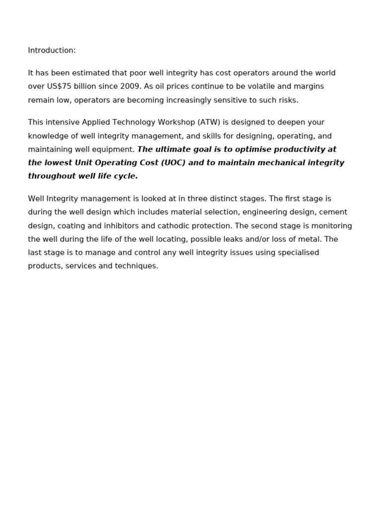 Well Integrity Management Workshop | PDF