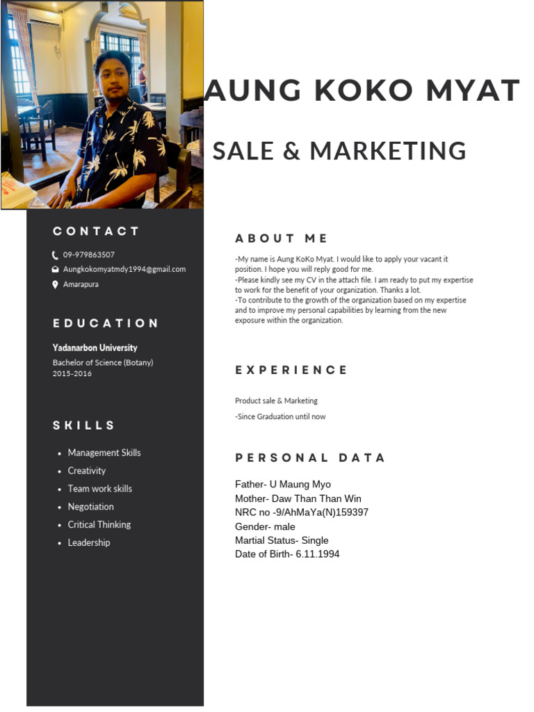 Grey Modern Professional CV Resume PDF | PDF