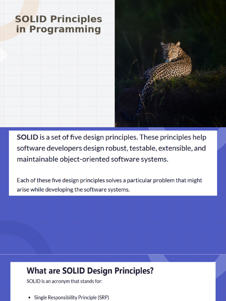 Solid Principles | PDF