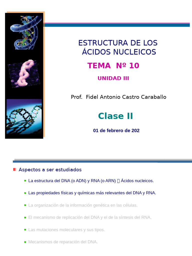 Clase 2 de 2 Estructura de Los Acidos Nucleicos 2023 | PDF | Nucleótidos | Rna