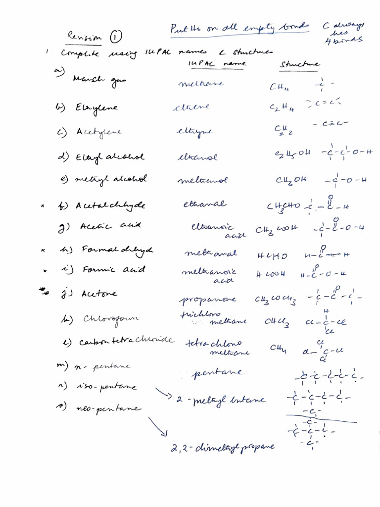 Org Revision ANS 24-25 | PDF