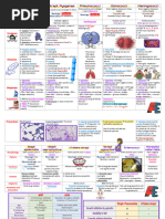 Sketchy Microbiology Overview | PDF | Gram Negative Bacteria | Bacteria