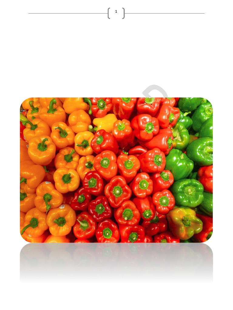 Pepper Production Learning Thursday (2) - 250501 - 212 - 250501 ...