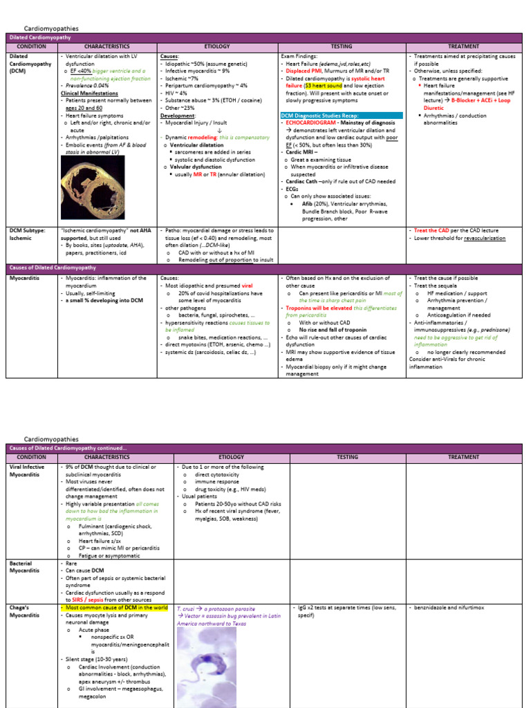 Dilated Cardiomyopathy Overview | PDF | Heart | Cardiovascular Diseases