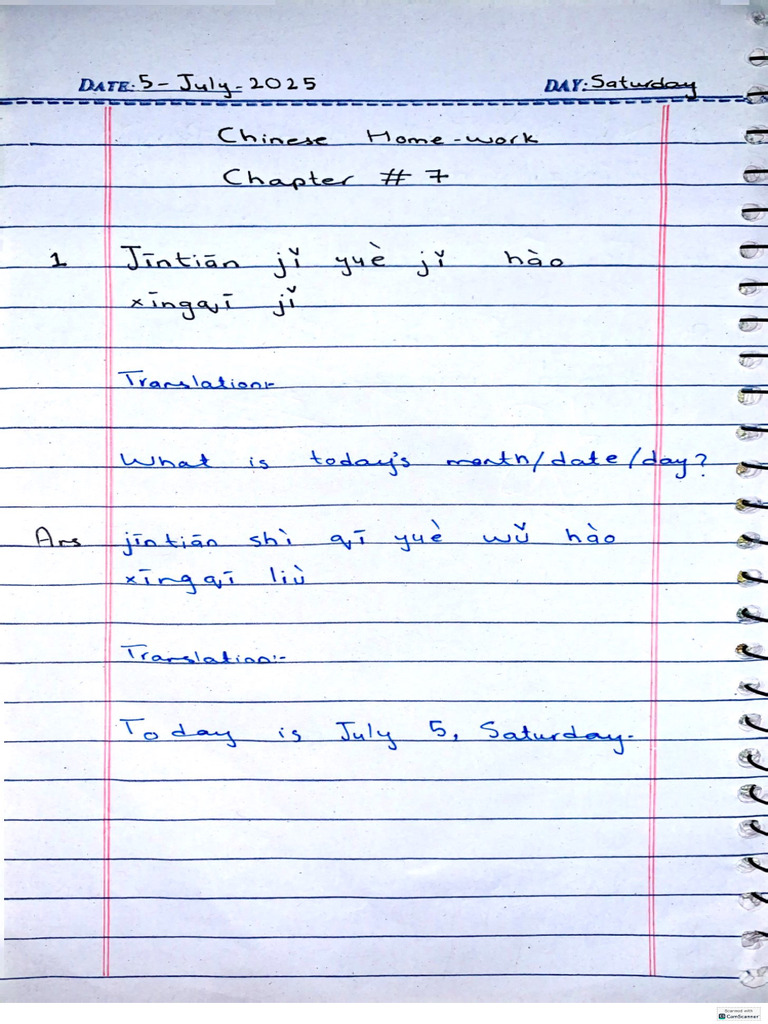 Chinese Homework CH 7 | PDF