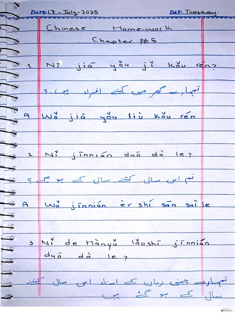 Chinese Homework. | PDF