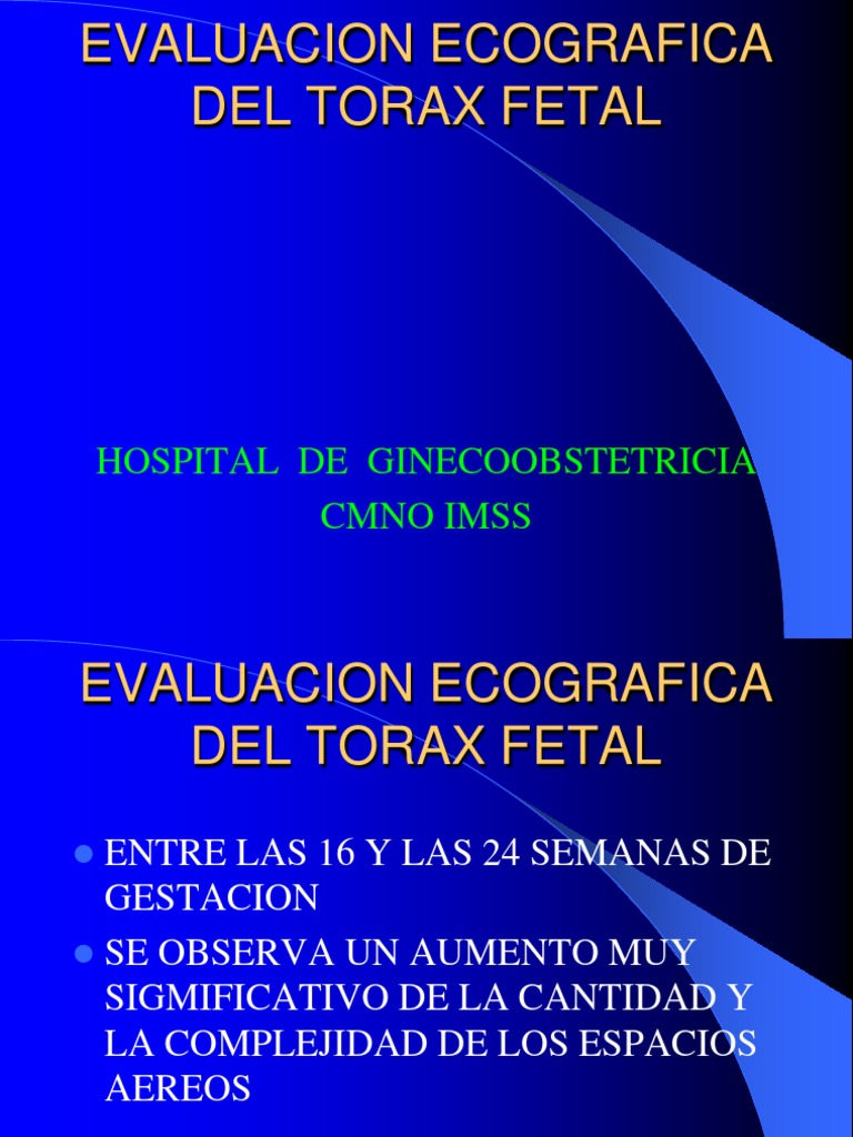14) Tórax Fetal | PDF | Corazón | Anatomía
