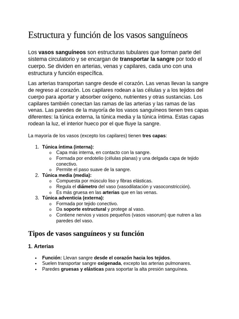 Estructura y función de vasos sanguíneos | PDF | Vena | Artería