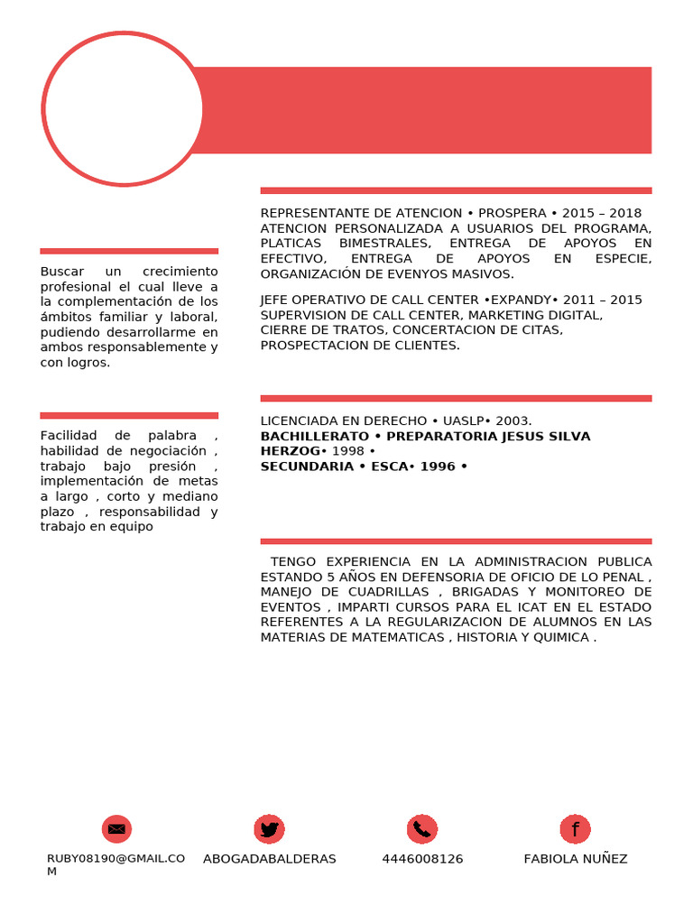 Plantilla de Curriculum Vitae para Llenar Formato Editable | PDF