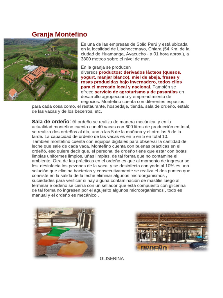 Granja Montefino: Producción y Agroturismo | PDF | Vacas | Fertilizante