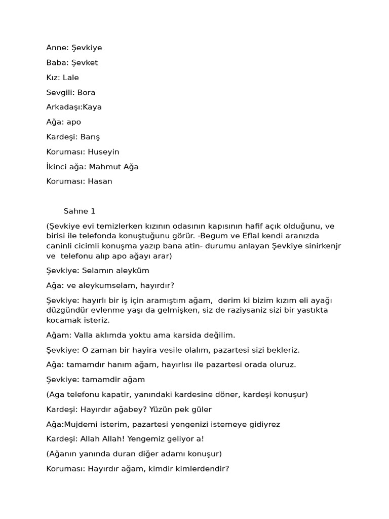 Belge (16) Tiyatro | PDF