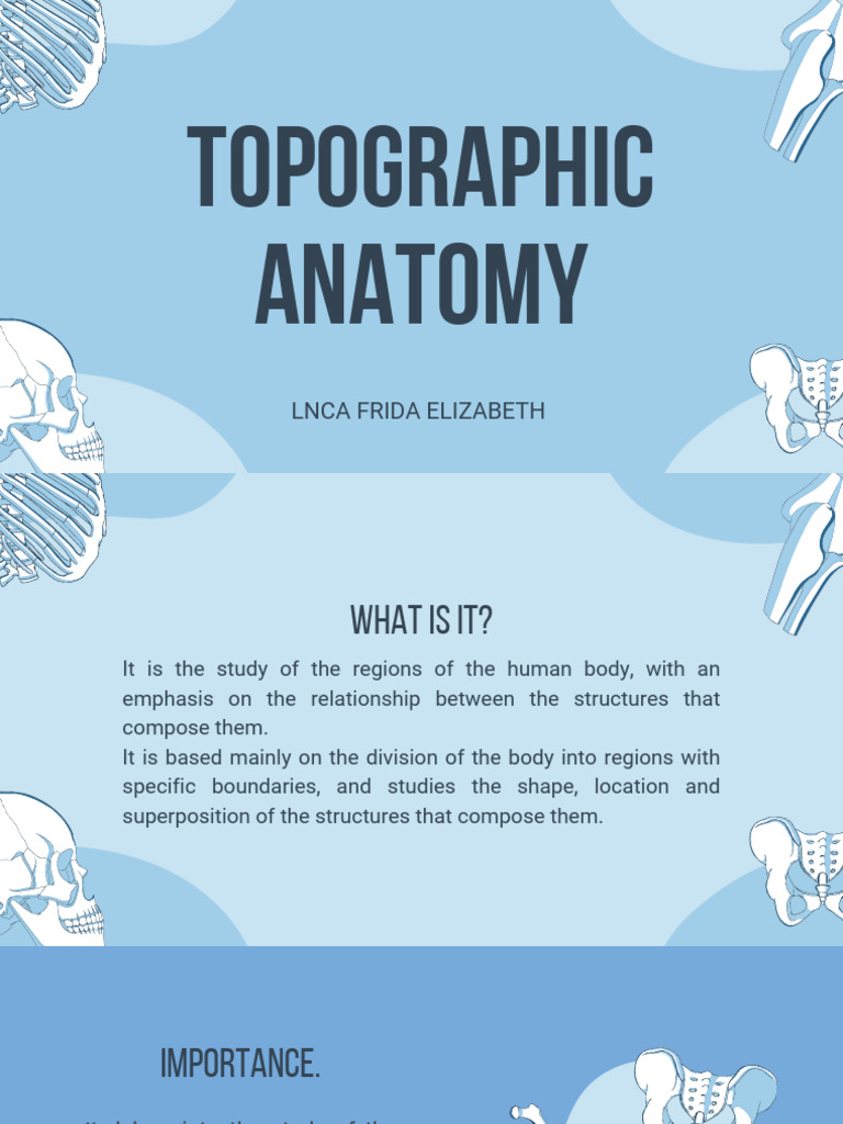 Topographic Anatomy | PDF