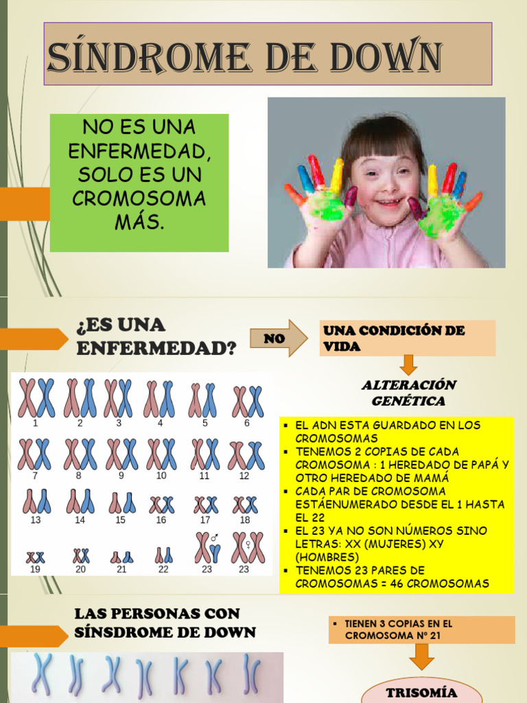Síndrome de Down - Conceptos Básicos | PDF | Síndrome de Down | Enfermedades y trastornos