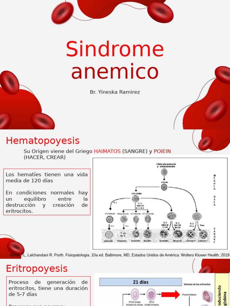 Anemia: Causas, Diagnóstico y Tratamiento | PDF | Sangre | Glóbulo rojo