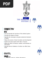 The Skeletal System Answer Key | PDF