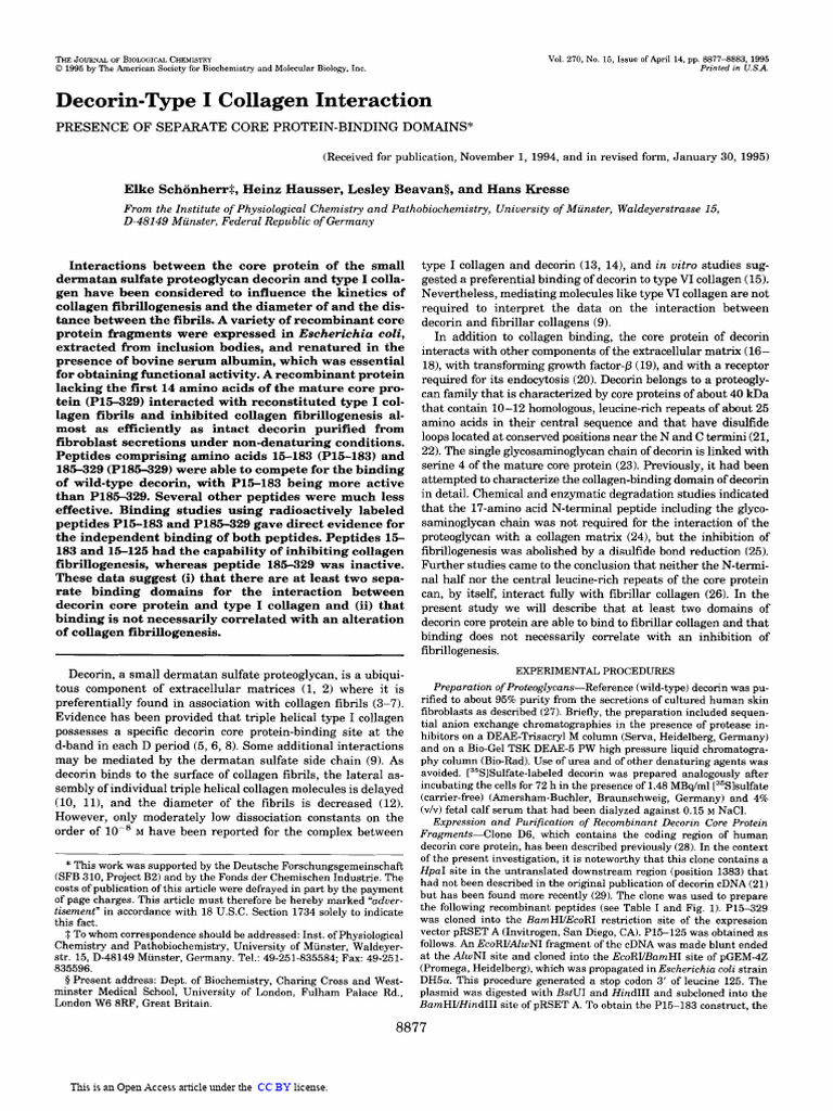Decorin-Type I Collagen Interaction | PDF | Proteins | Collagen