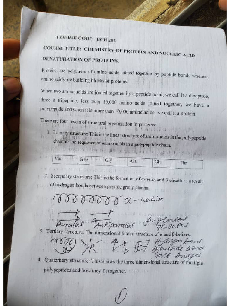 BCH 202 Denaturation of Protein | PDF