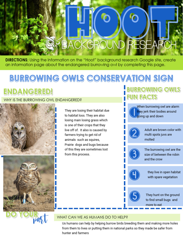 Bryson-Joseph Decuir - Hoot Back Ground Research Student Handout | PDF ...