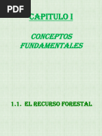 Diferencias entre coníferas y latifoliadas | PDF | Arboles | Hoja