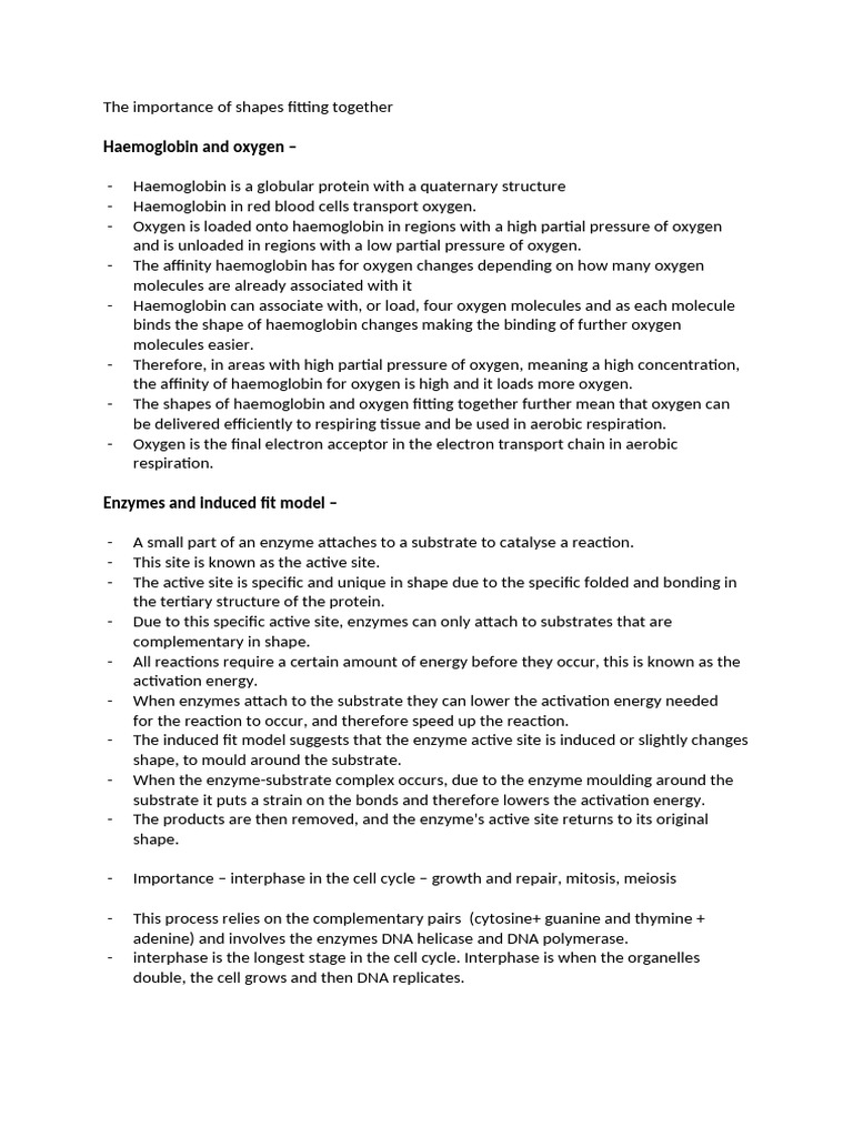 The Importance of Shapes Fitting Together | PDF | B Cell | Hemoglobin