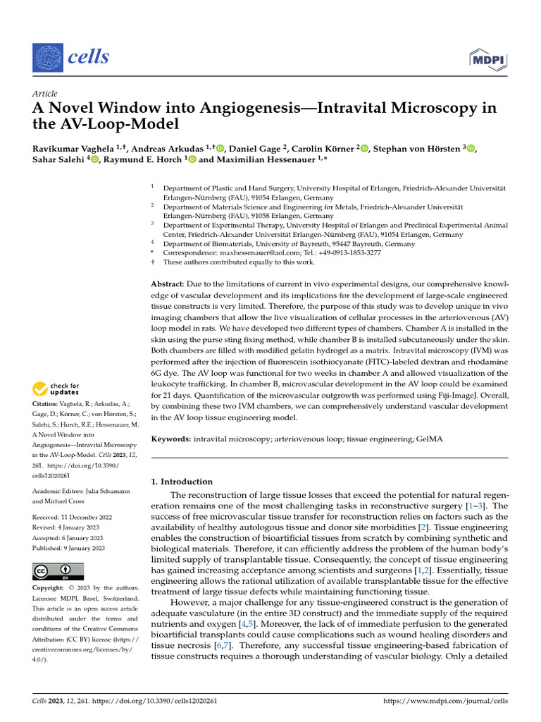 A Novel Window Into Angiogenesis-Intravital Microscopy in The AV-Loop ...