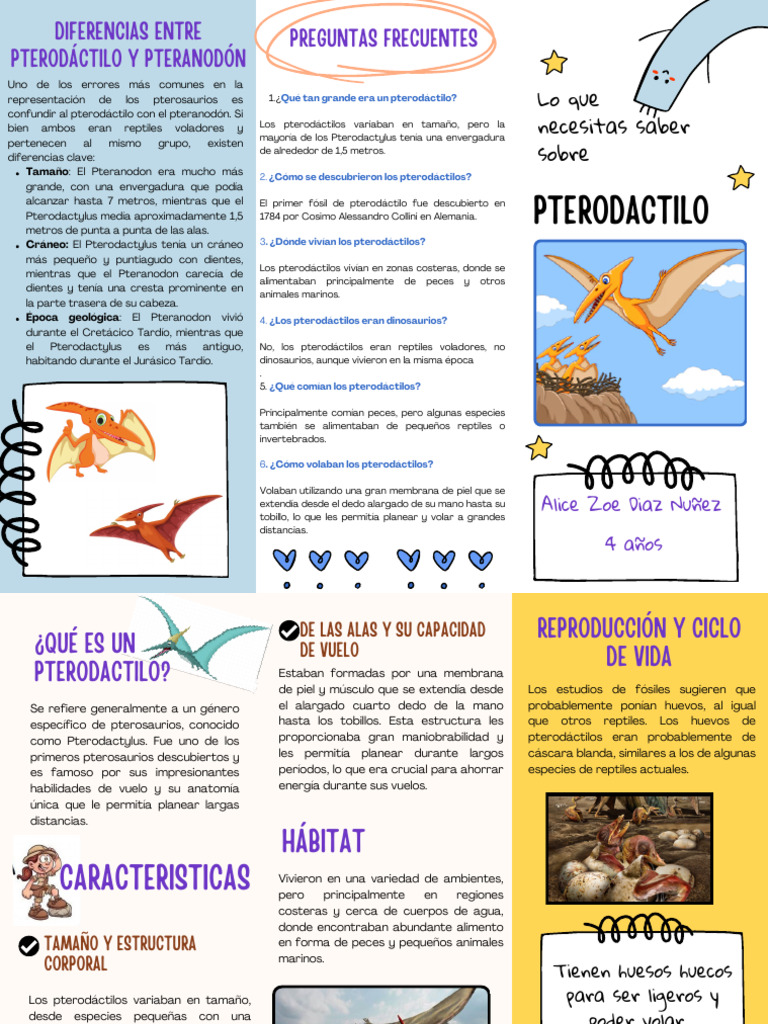 Tamaño y características del pterodáctilo | PDF | Zoología