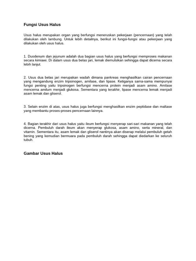 Fungsi Usus Halus | PDF