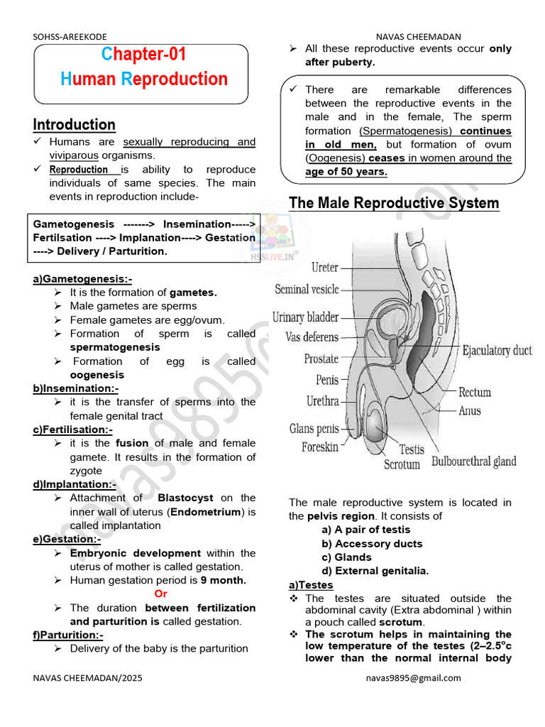 Hsslive-xii-zoology-01-02 Human Reproduction and Reproductive Health ...