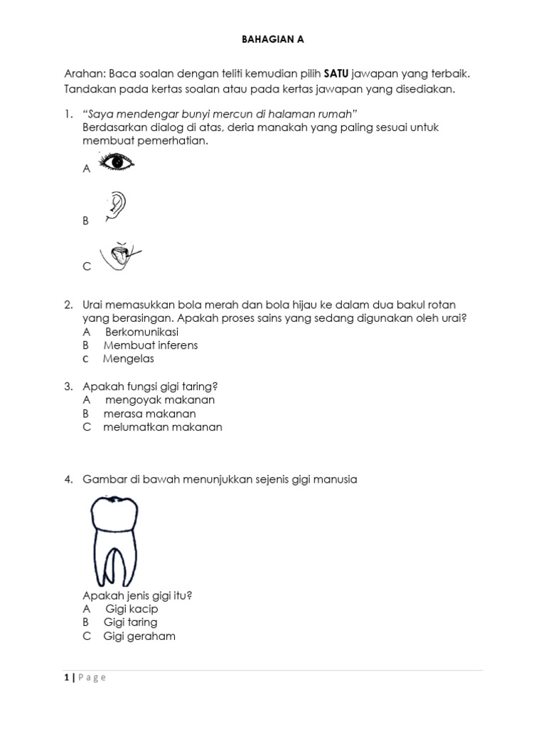 Soalan Sains Tahun 3 Pertengahan Tahun | PDF