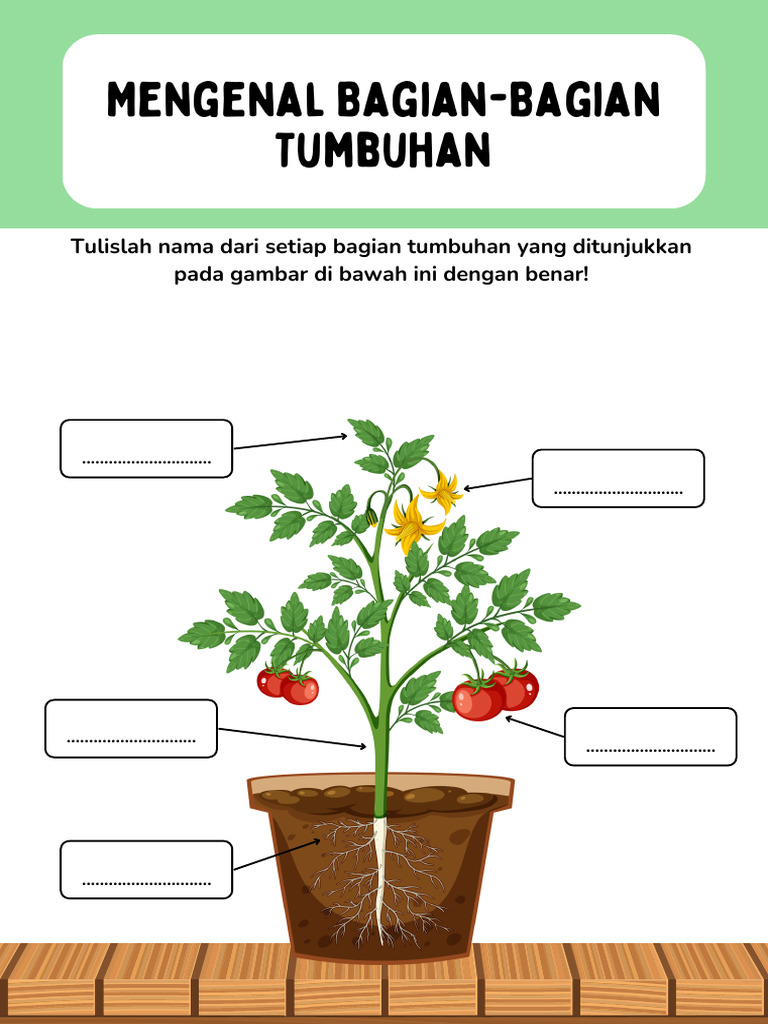 Mengenal Bagian Tumbuhan dan Fungsinya | PDF