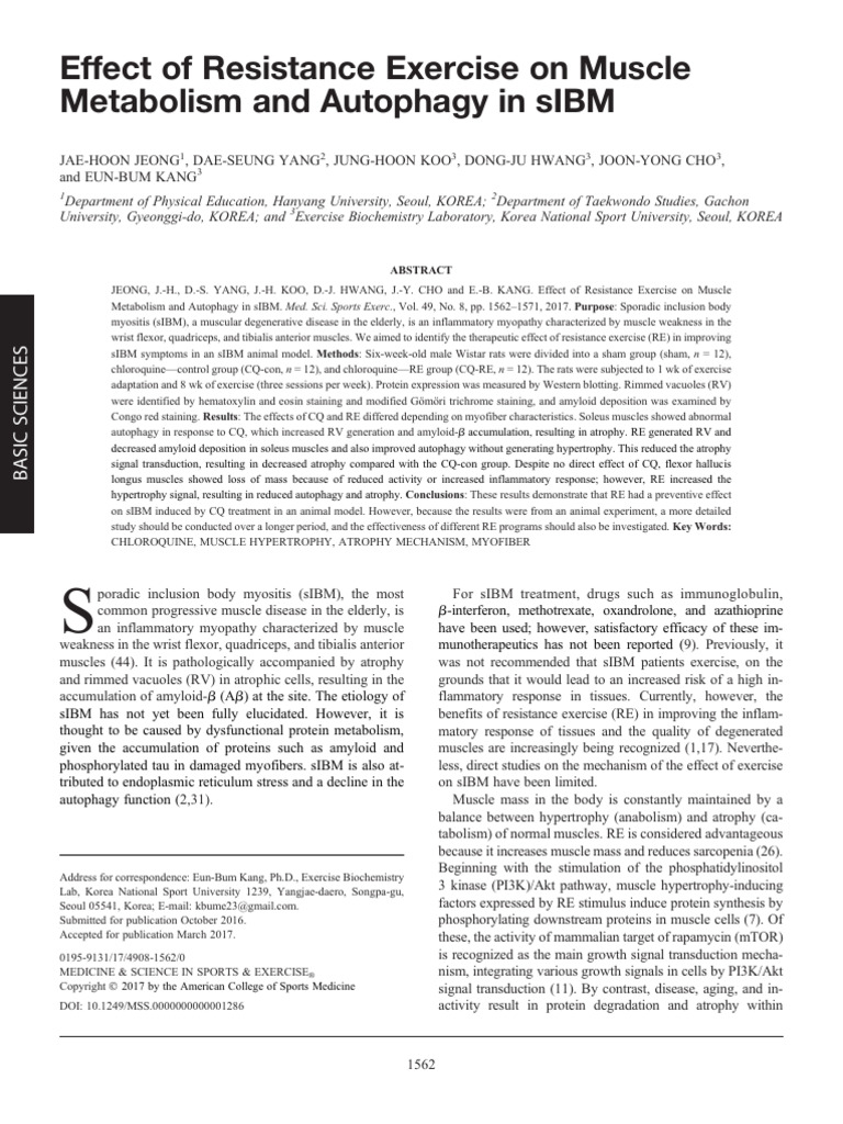 Effect of Resistance Exercise On Muscle Metabolism and Autophagy in SIBM | PDF | Autophagy ...