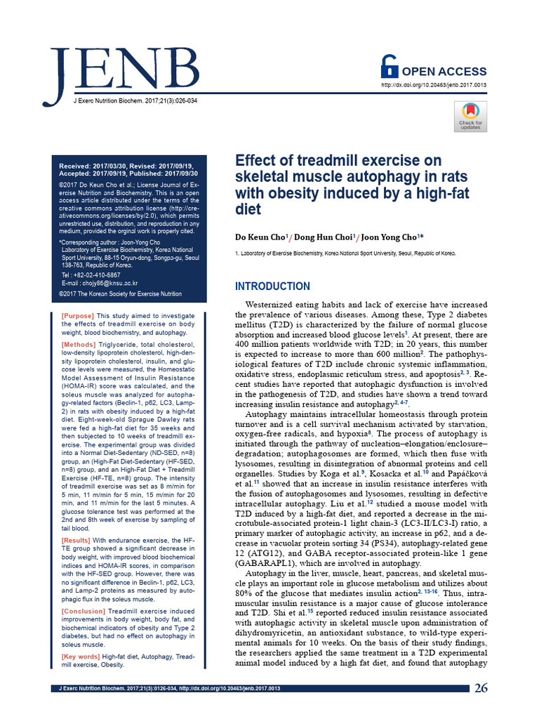 Effect of Treadmill Exercise On Skeletal Muscle Autophagy in Rats With ...
