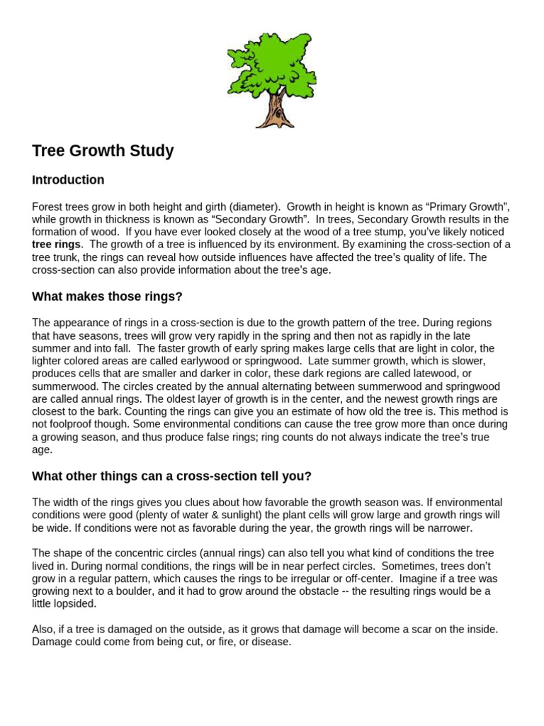 Tree Growth Patterns and Analysis | PDF | Wood | Trees