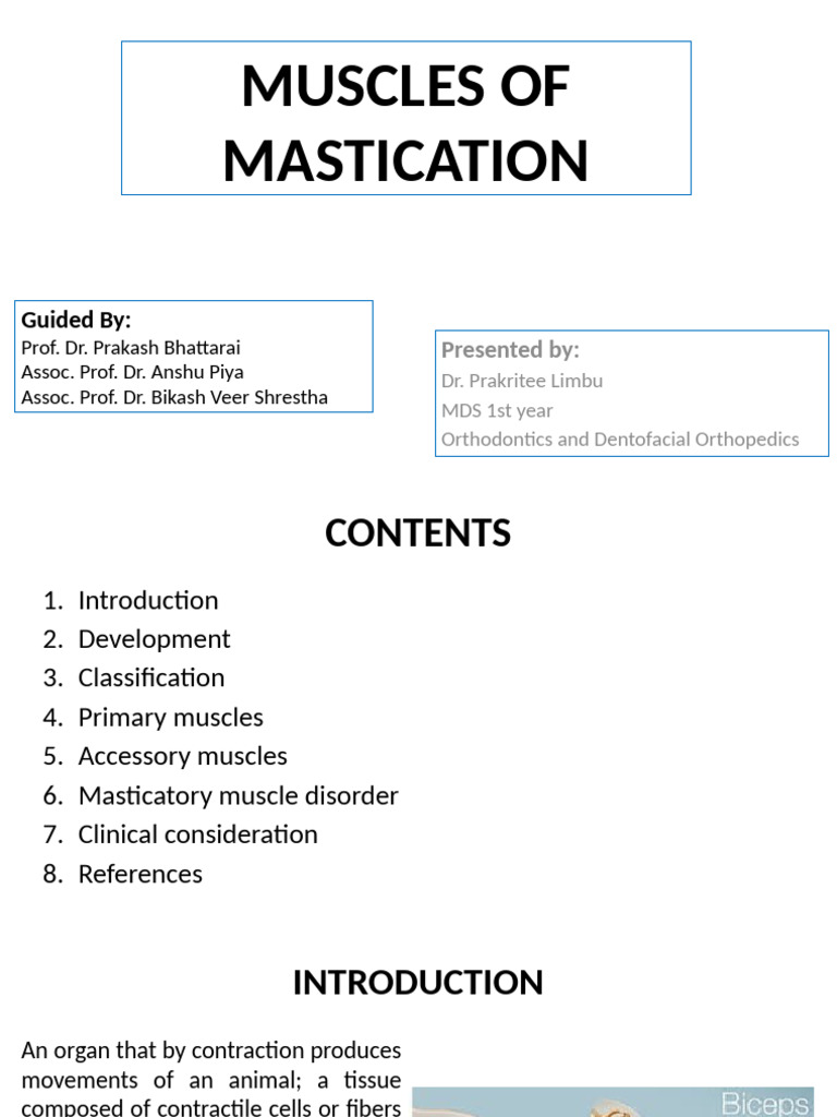 Overview of Muscles of Mastication | PDF | Muscle Contraction ...