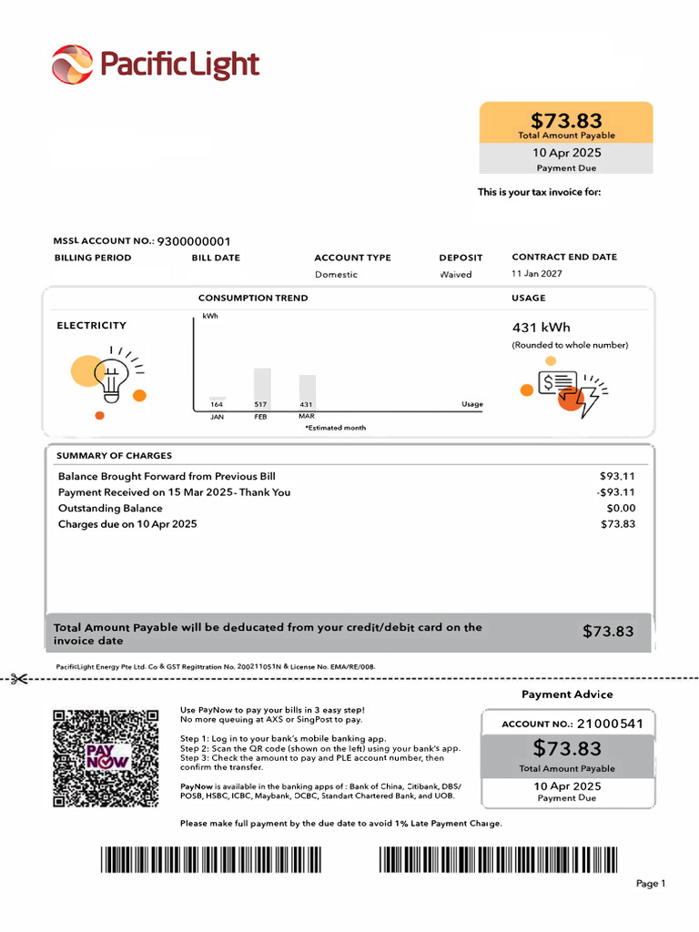 Singapore Electricity Bill Summary 2025 | PDF | Banking | Financial ...