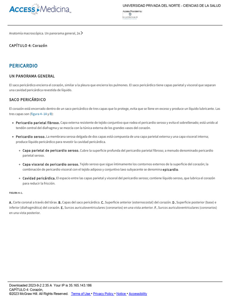 Morton D.a., & Foreman K, & Albertine K.H. (Eds.), (2022) - Anatomía Macroscópica. Un Panorama ...