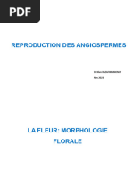 Le Carpelle : Organe des Angiospermes | PDF | Fruit | Embryon