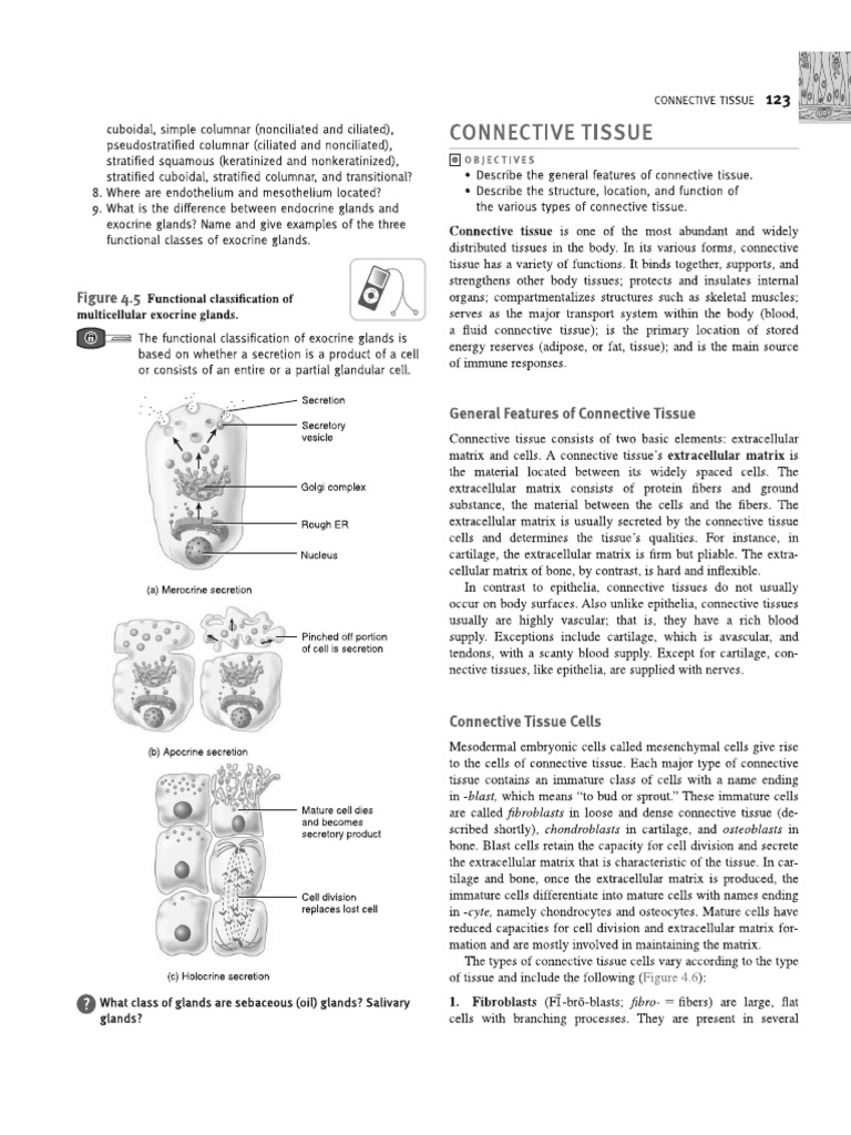 Connective Tissu Book | PDF