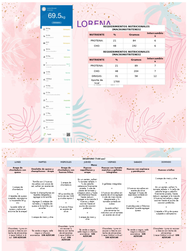 Plan de Alimentacion Lorena | PDF | ensalada | Vinagreta