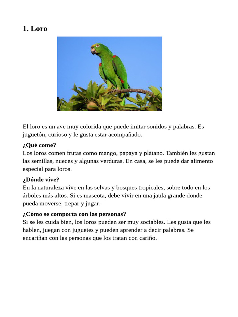 Kevin Esteban 6C | PDF