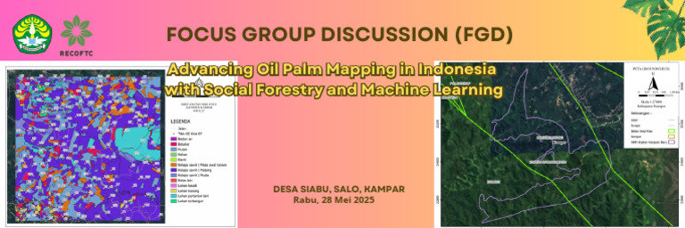 Deep Learning for Oil Palm Mapping | PDF