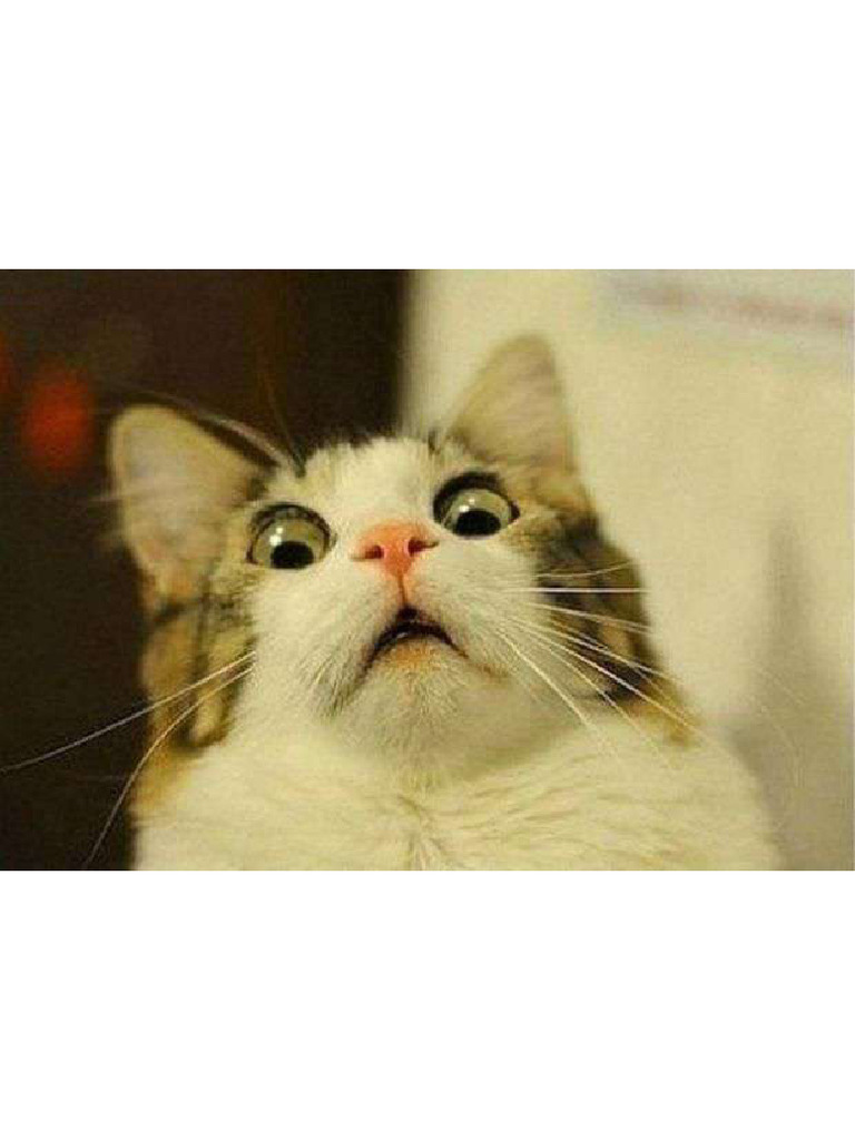 Click To See How To Make A Good Meme Using A MEME | PDF