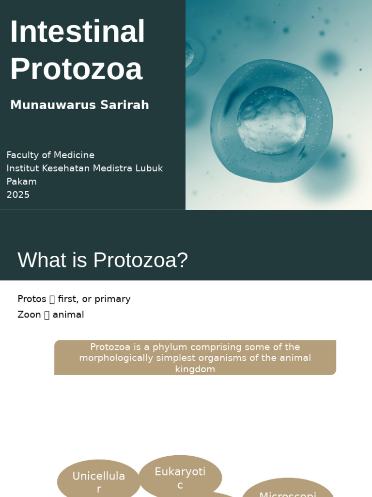 KP 19 20 Intestinal Protozoa (Autosaved) | PDF | Gastroenterology ...