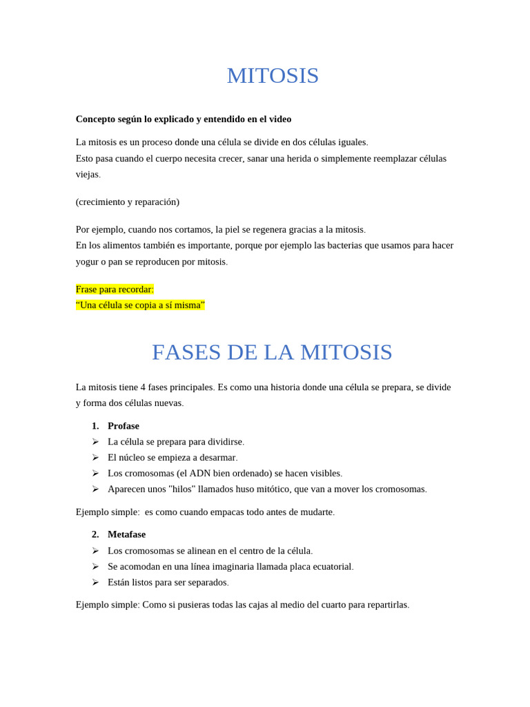 Fases de la Mitosis y su Aplicación | PDF | Mitosis | Biología