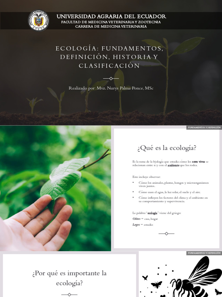 Clase 1 - Ecología Animal-2 | PDF | Ecología | Ecosistema