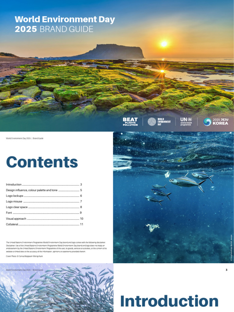 World Environment Day 2025 Branding Guide | PDF | United Nations ...