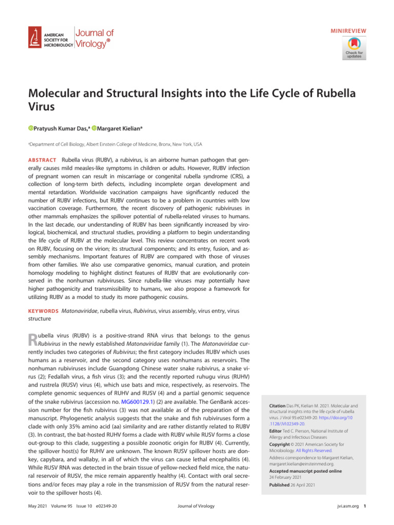 Das Kielian Molecular and Structural Insights Into The Life Cycle of ...
