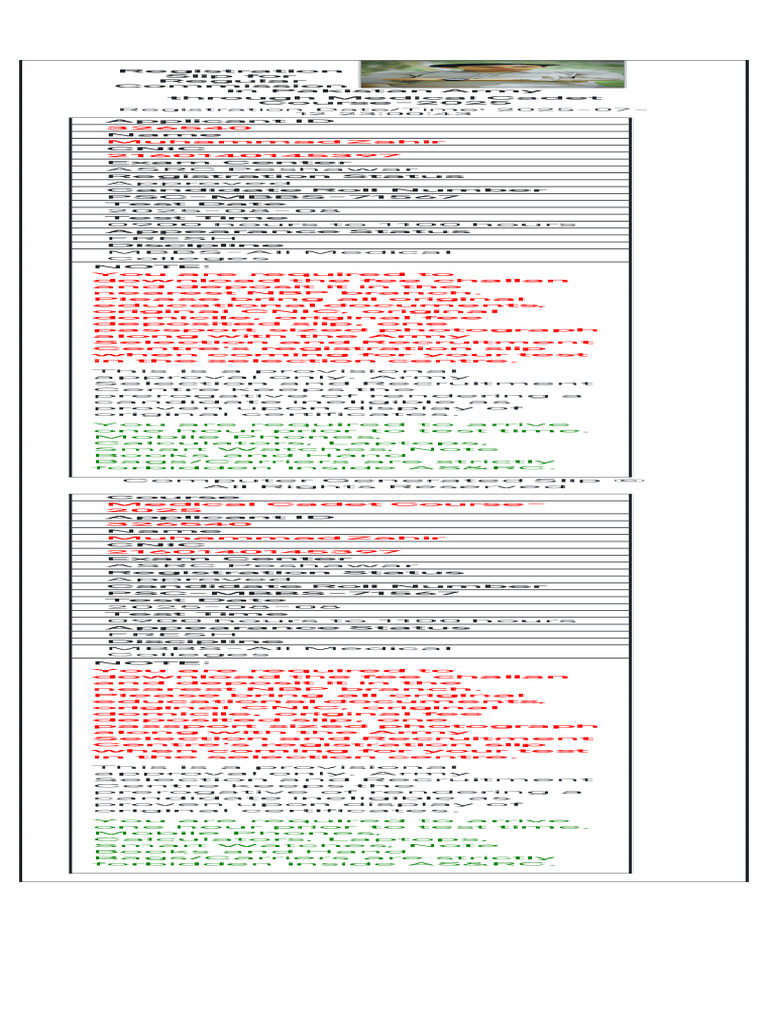 Registration Slip | PDF